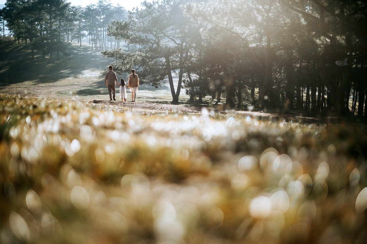 Actividades en familia para fortalecer el apego